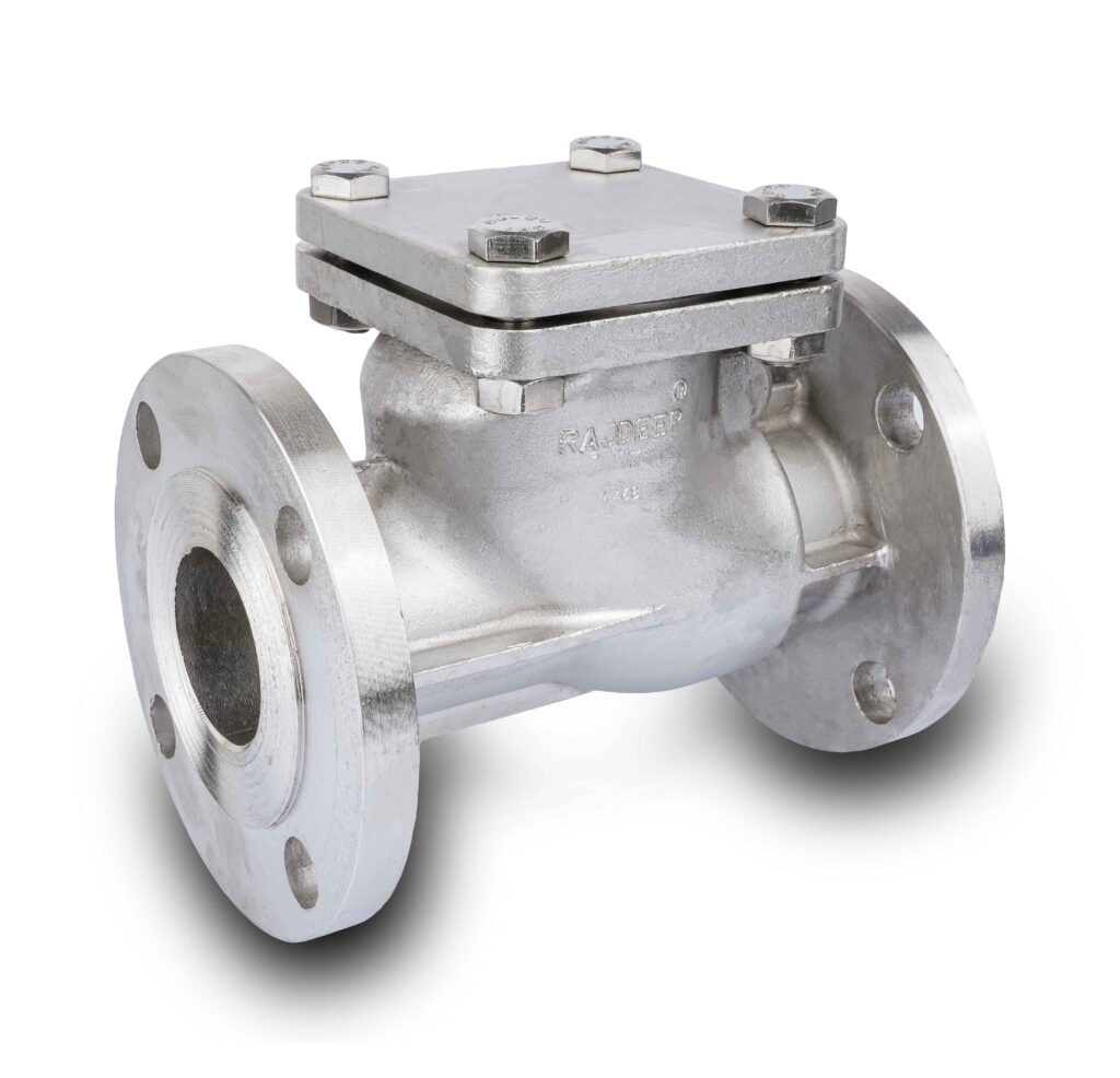 CHECK VALVE - Raajdeep Valves